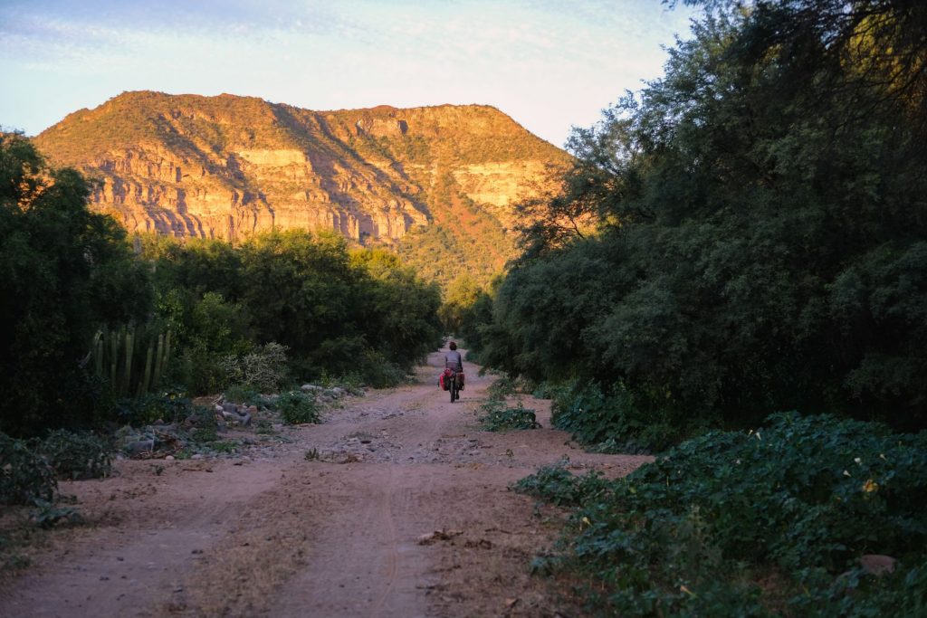 Baja Sur - Zach Bray